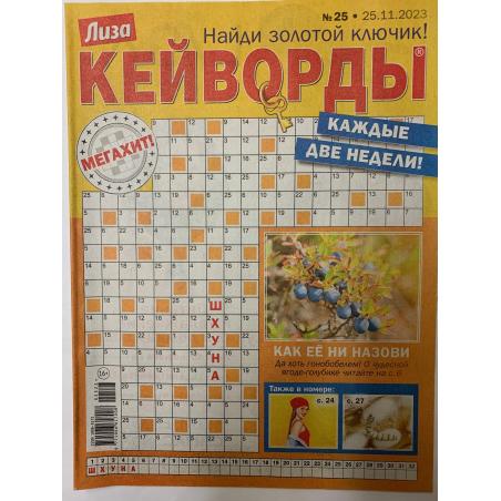 Лиза. Кейворды №25 2023